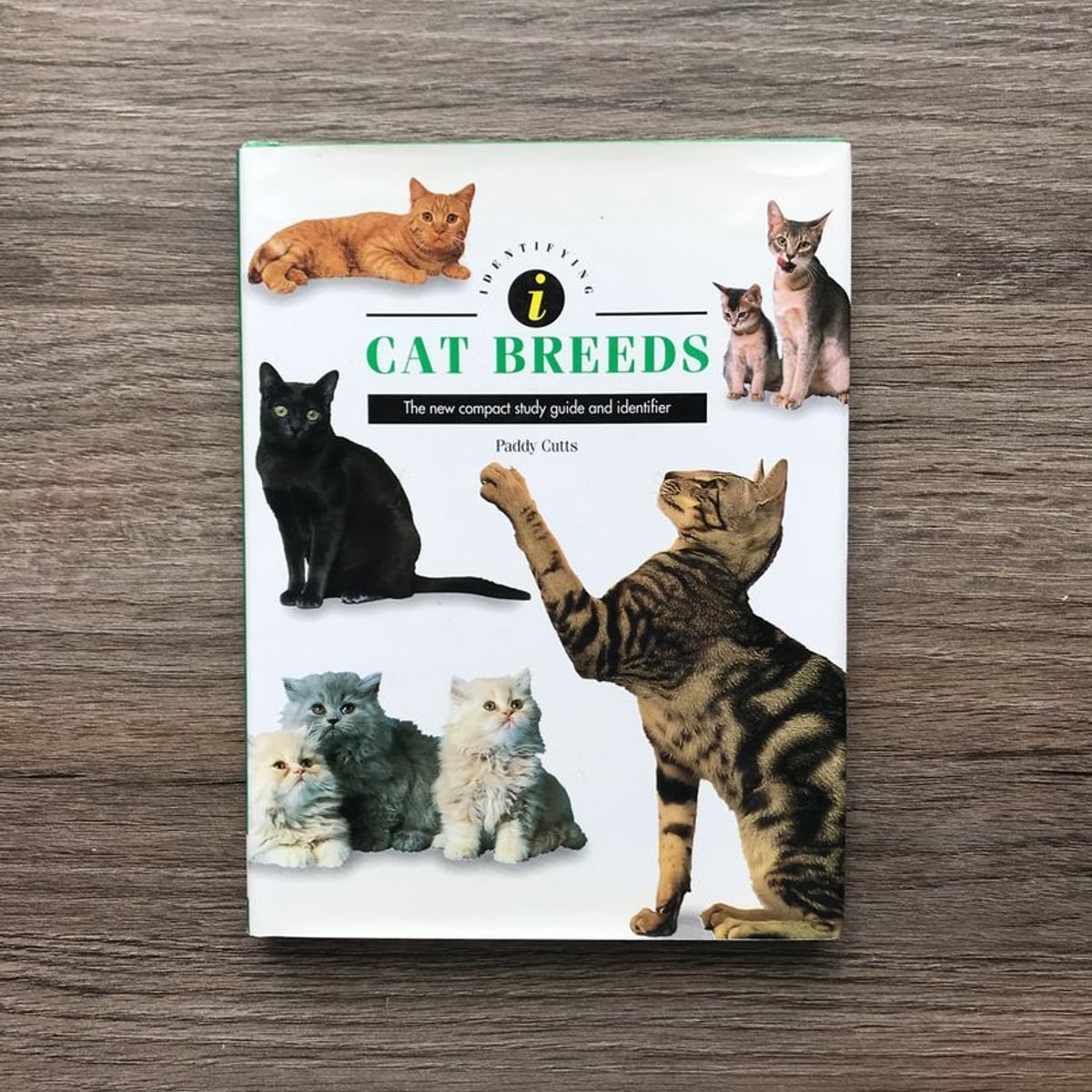 Identifying Guide to Cat Breeds by Paddy Cutts