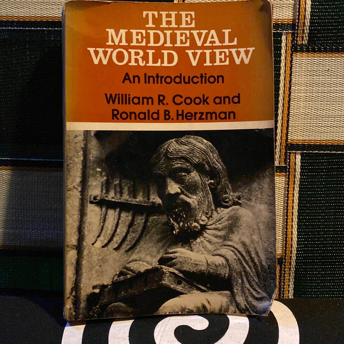 The Medieval World View by William R. Cook, Ronald B. Herzman