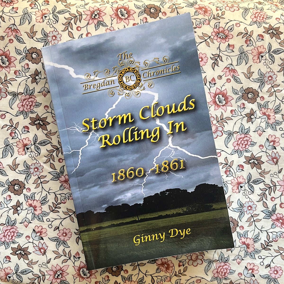 Storm Clouds Rolling in (# 1 in the Bregdan Chronicles Historical ...