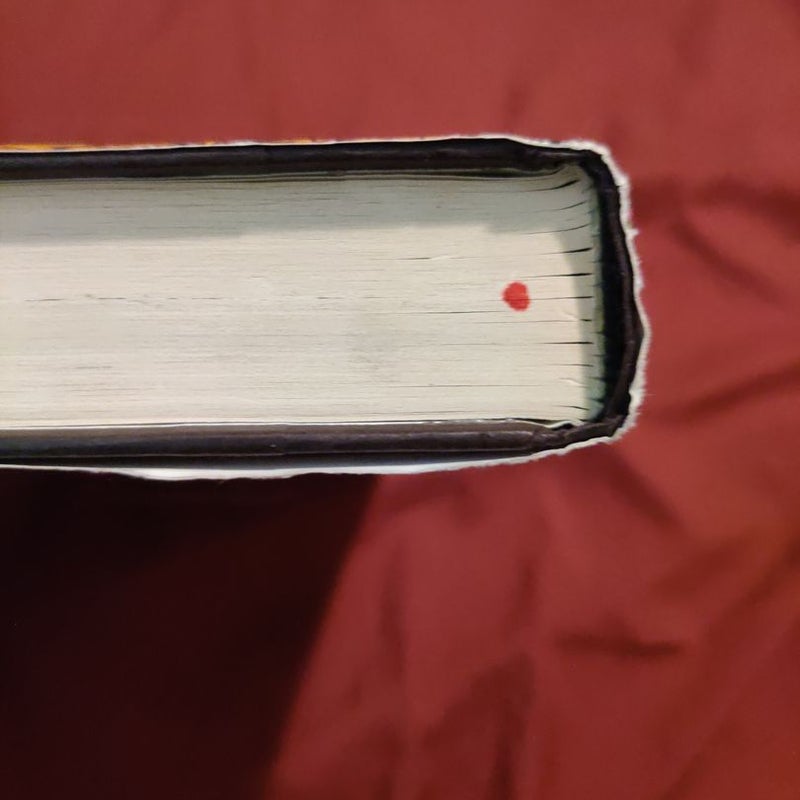 Our Picnics in the Sun by Morag Joss