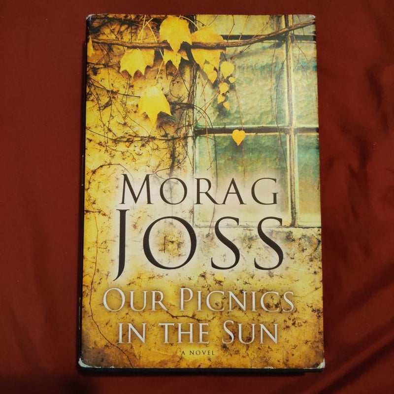 Our Picnics in the Sun by Morag Joss
