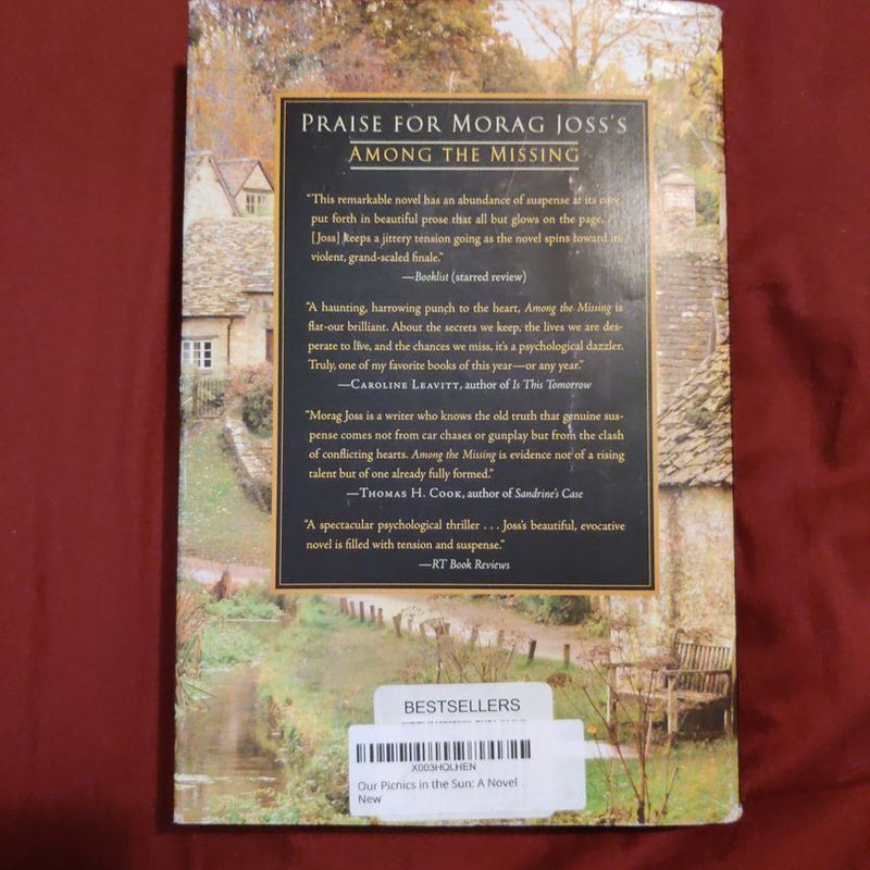 Our Picnics in the Sun by Morag Joss