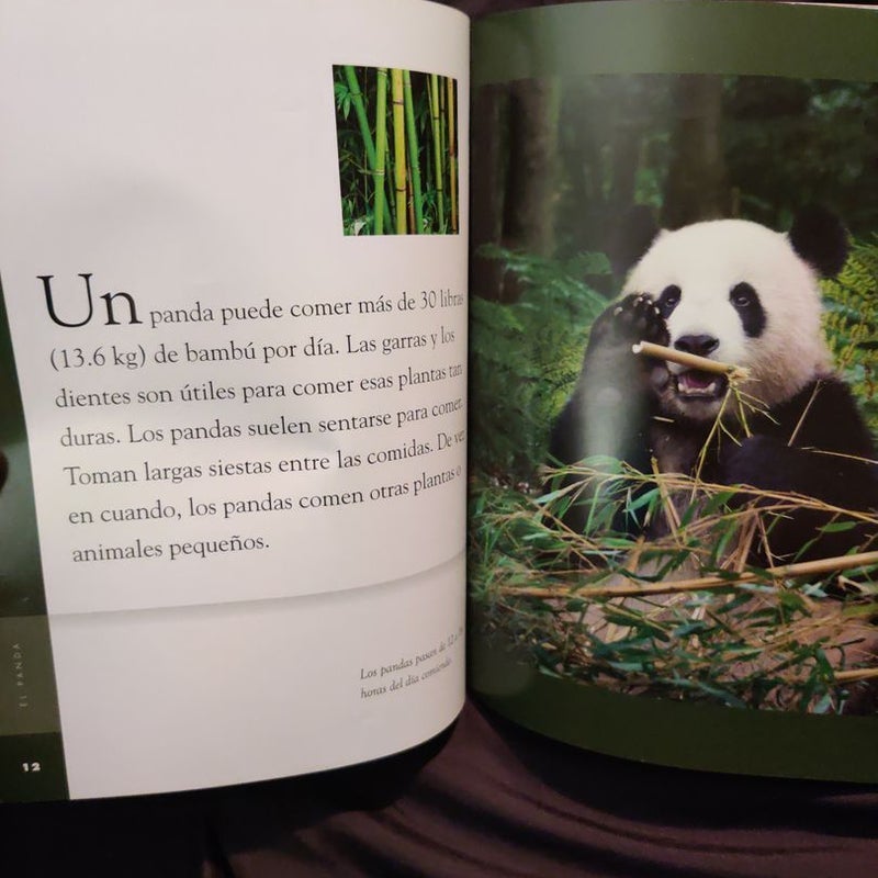 El Panda by Valerie Bodden, Paperback | Pangobooks