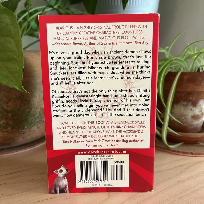 The Accidental Demon Slayer
