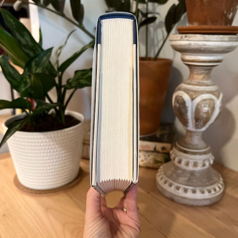 Dragonsblood by Todd J. McCaffrey