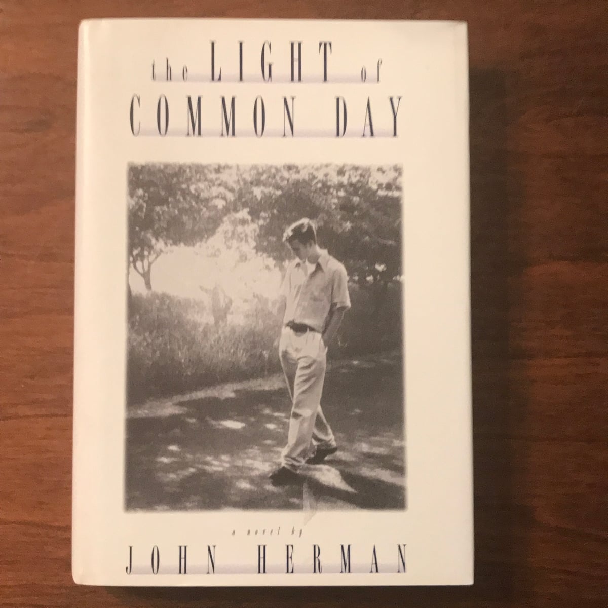 The Light of Common Day by John Herman