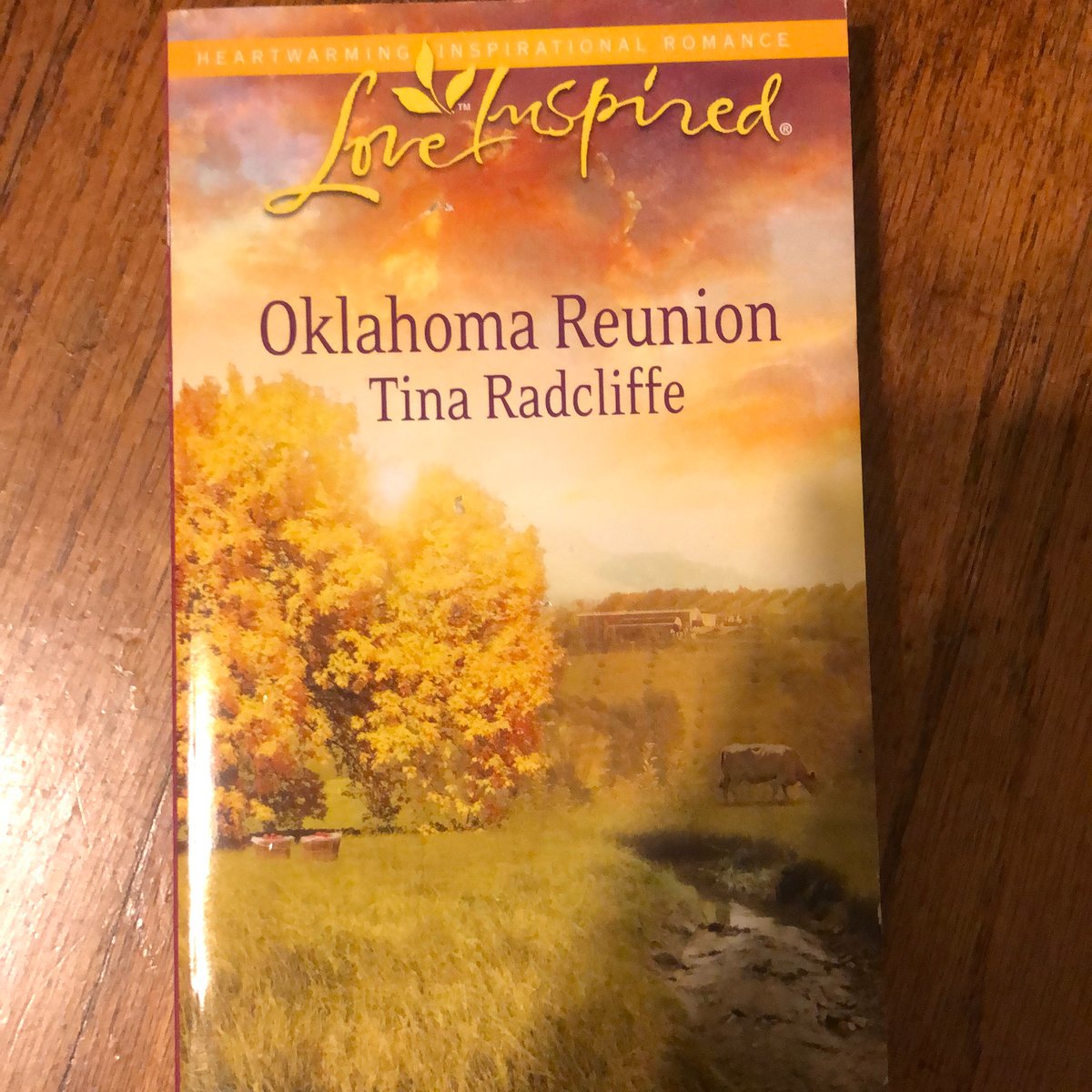 Oklahoma Reunion by Tina Radcliffe