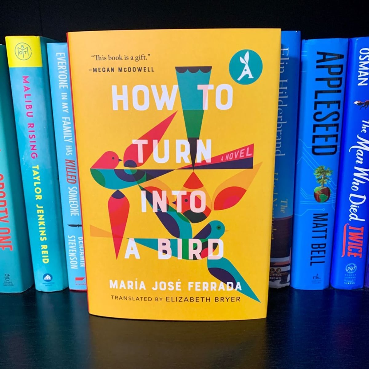 How to Turn into a Bird by Elizabeth Bryer, Hardcover | Pangobooks