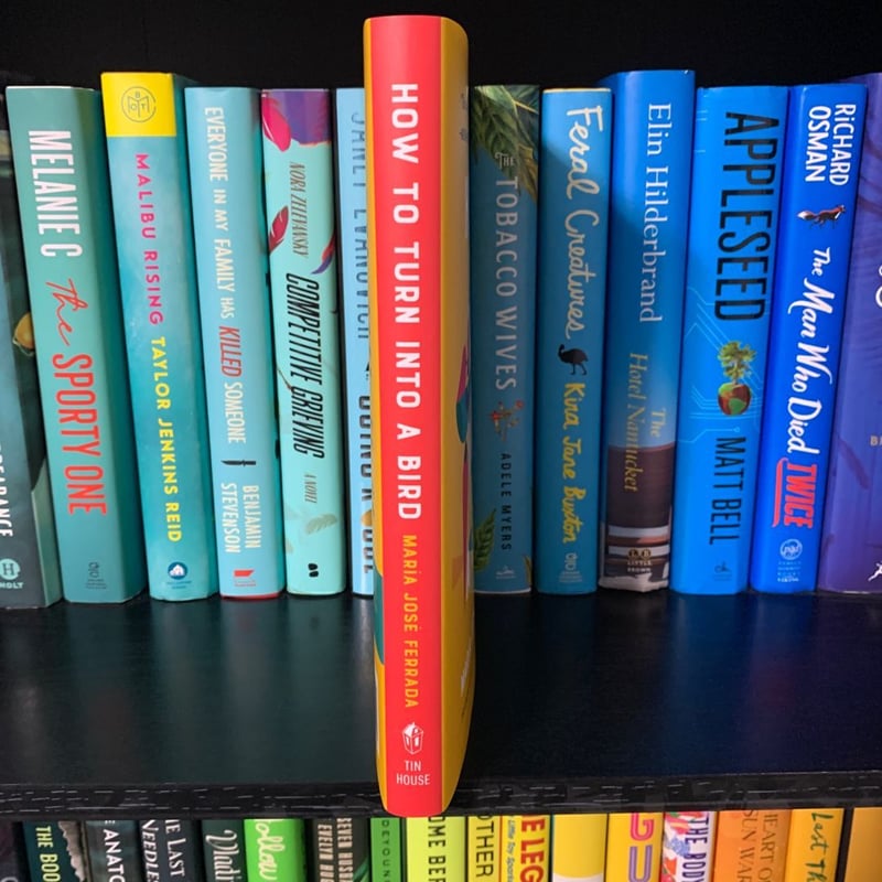 How to Turn into a Bird by Elizabeth Bryer, Hardcover | Pangobooks
