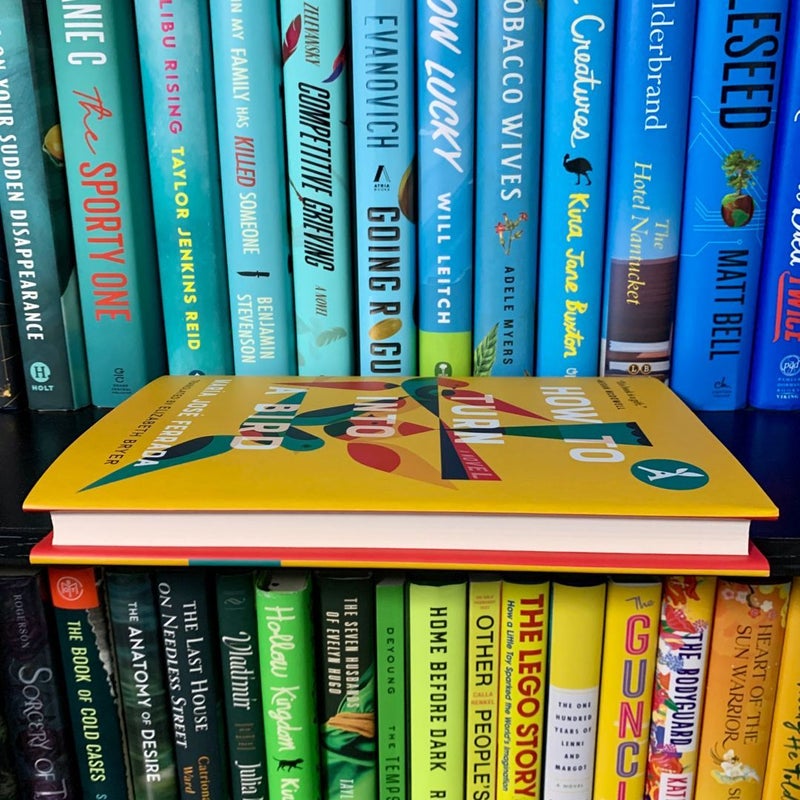 How to Turn into a Bird by Elizabeth Bryer, Hardcover | Pangobooks