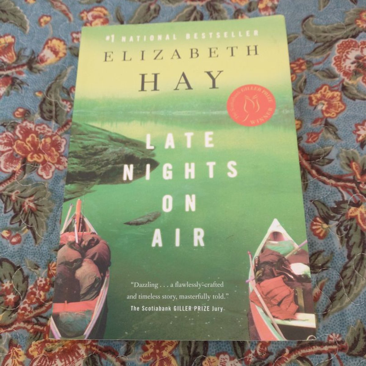 Late Nights on Air by Elizabeth Hay