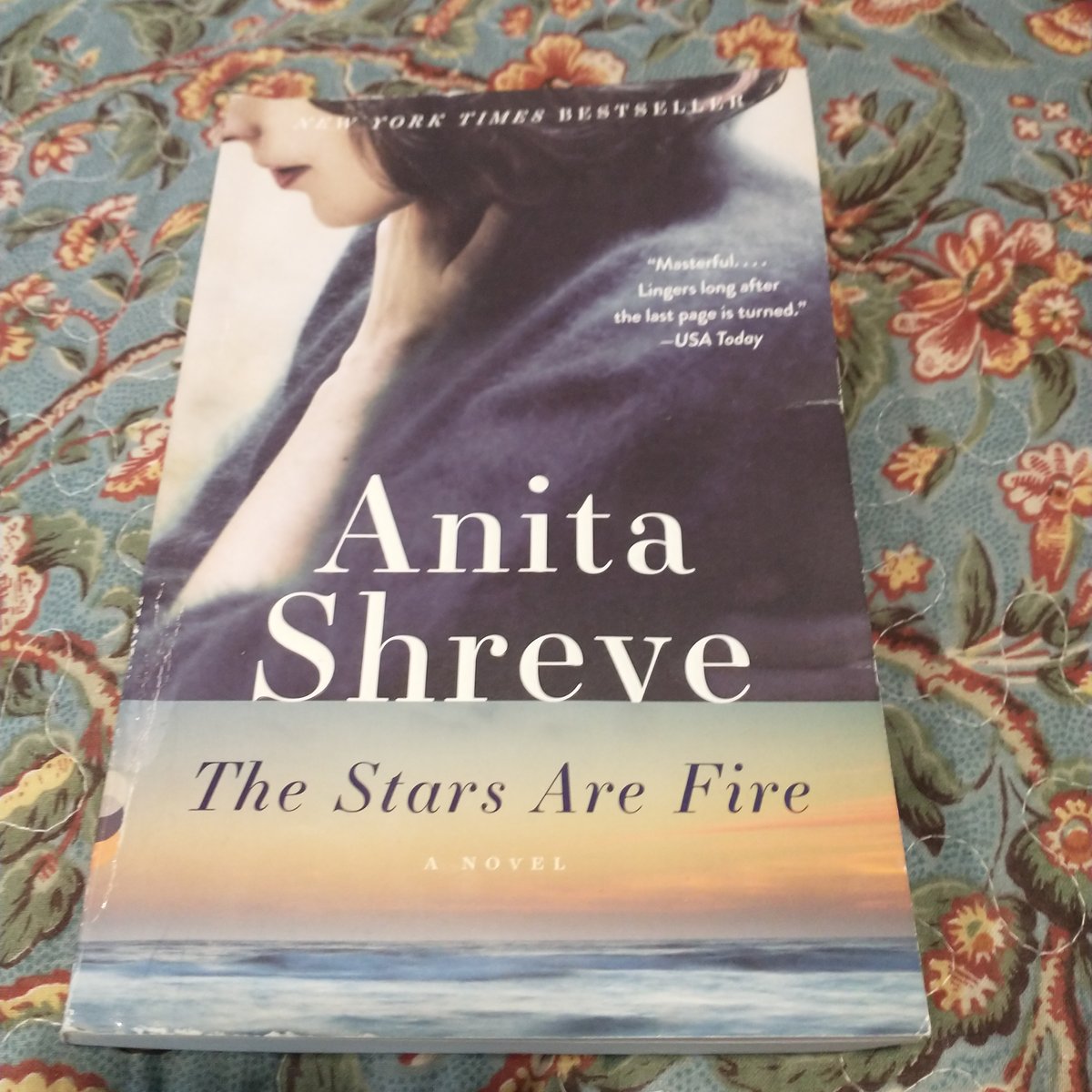 The Stars Are Fire by Anita Shreve