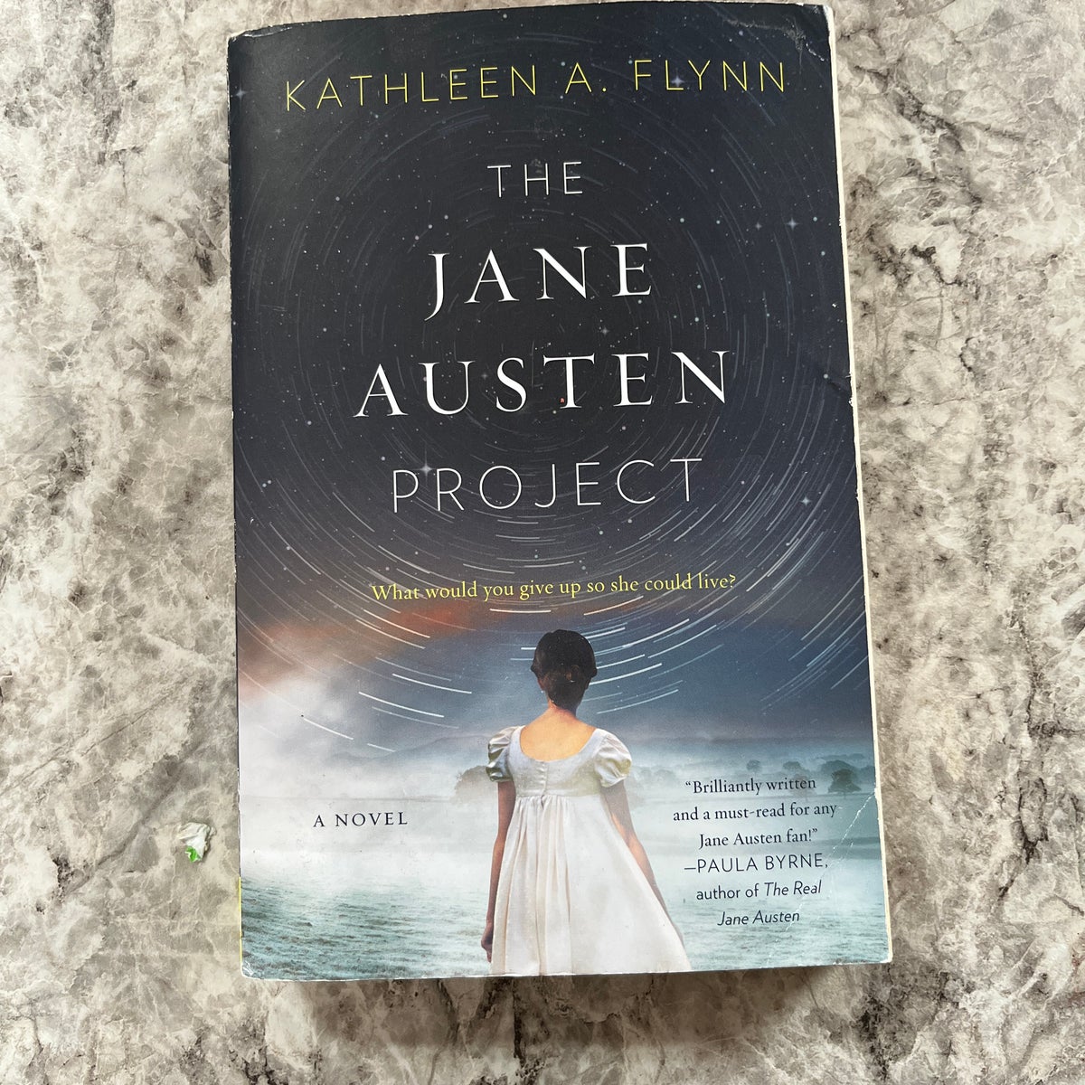 The Jane Austen Project by Kathleen A. Flynn