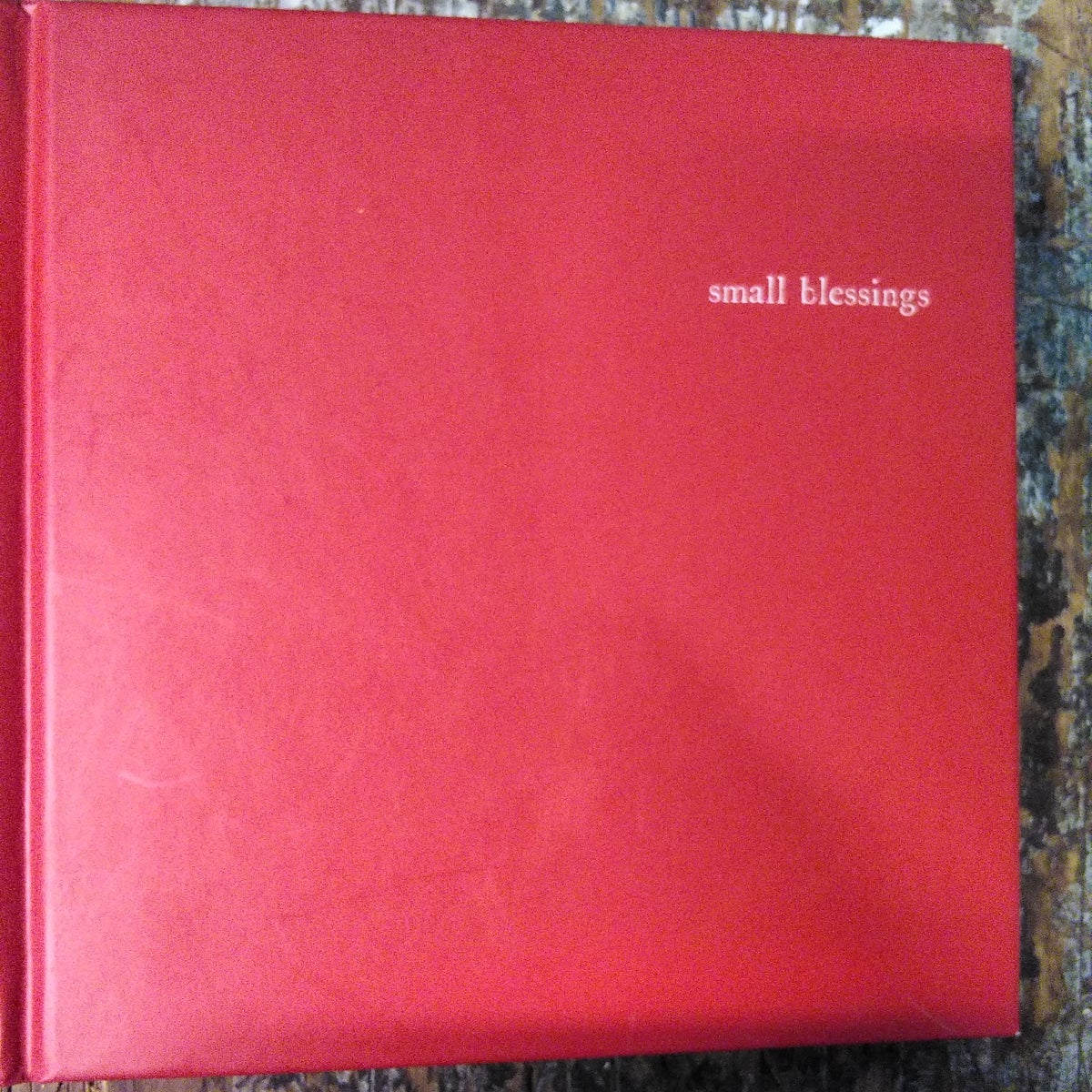 Small Blessings by Erica Becker