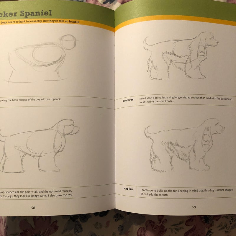 50 Things to Draw by Ed Tadem