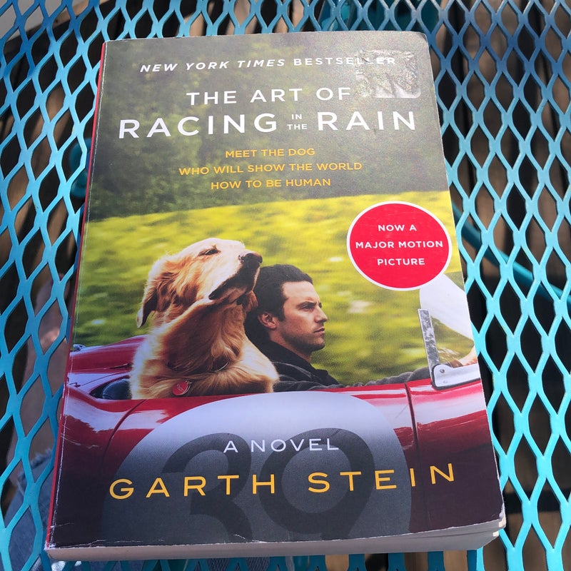 The Art of Racing in the Rain