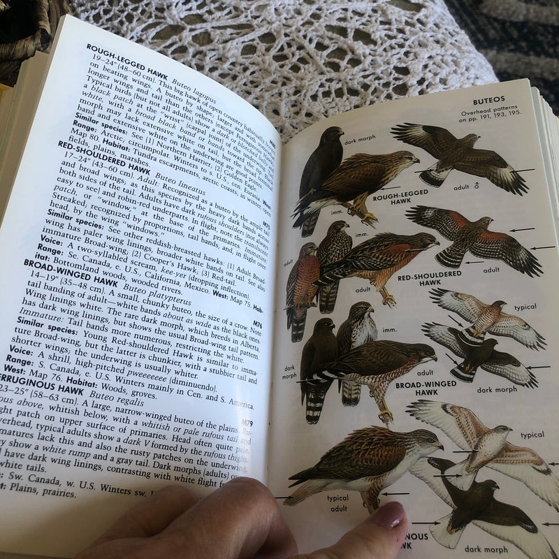 Petersons Field Guide to Western Birds by Roger T. Peterson