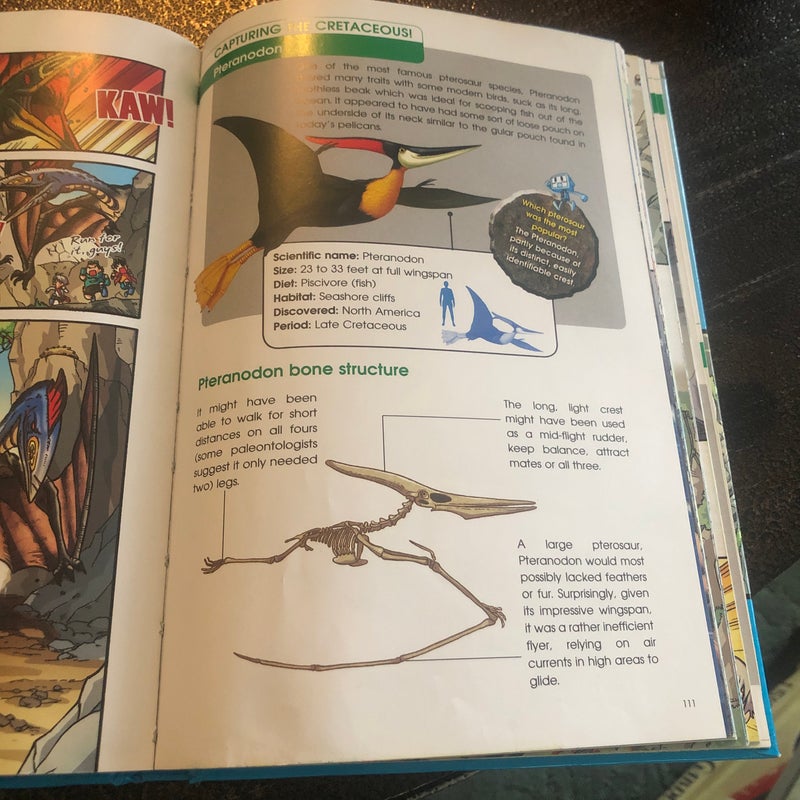 Dinosaur Explorers Vol. 8 by Albbie