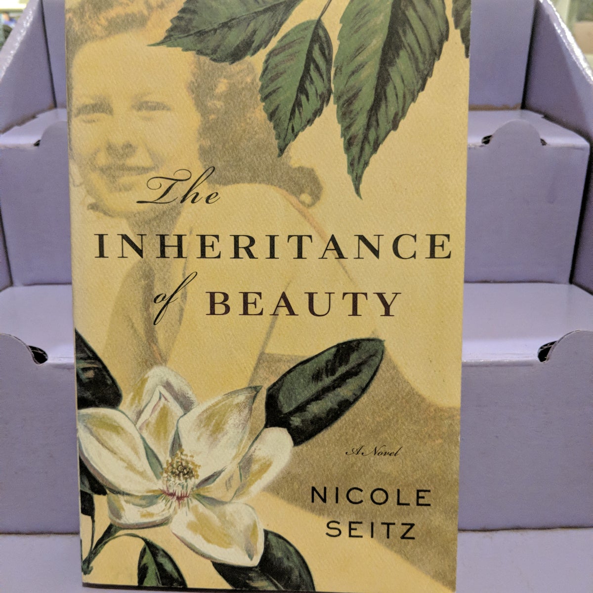The Inheritance of Beauty by Nicole Seitz, Paperback | Pangobooks