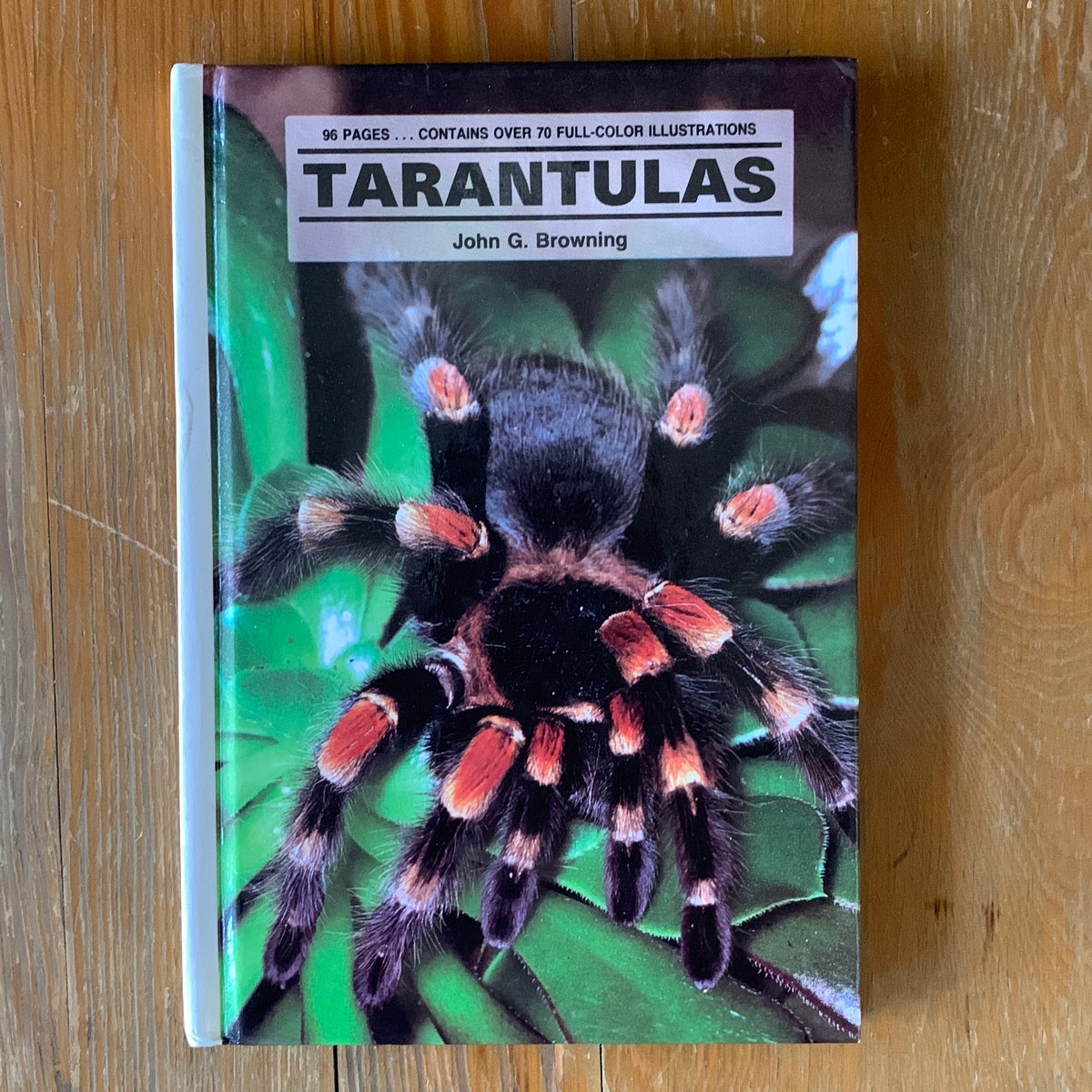Tarantulas by John Browning