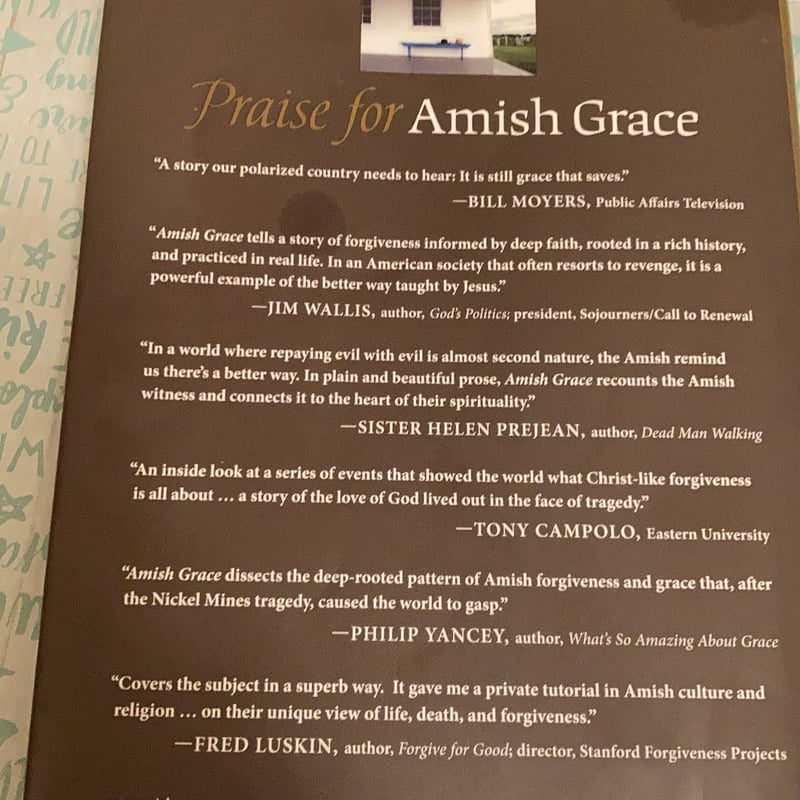 Amish Grace by Donald B. Kraybill, Hardcover | Pangobooks