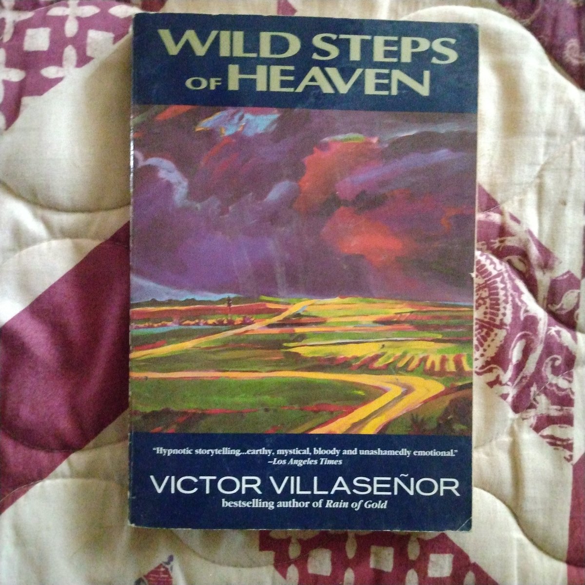 Wild Steps of Heaven by Victor Villasenor