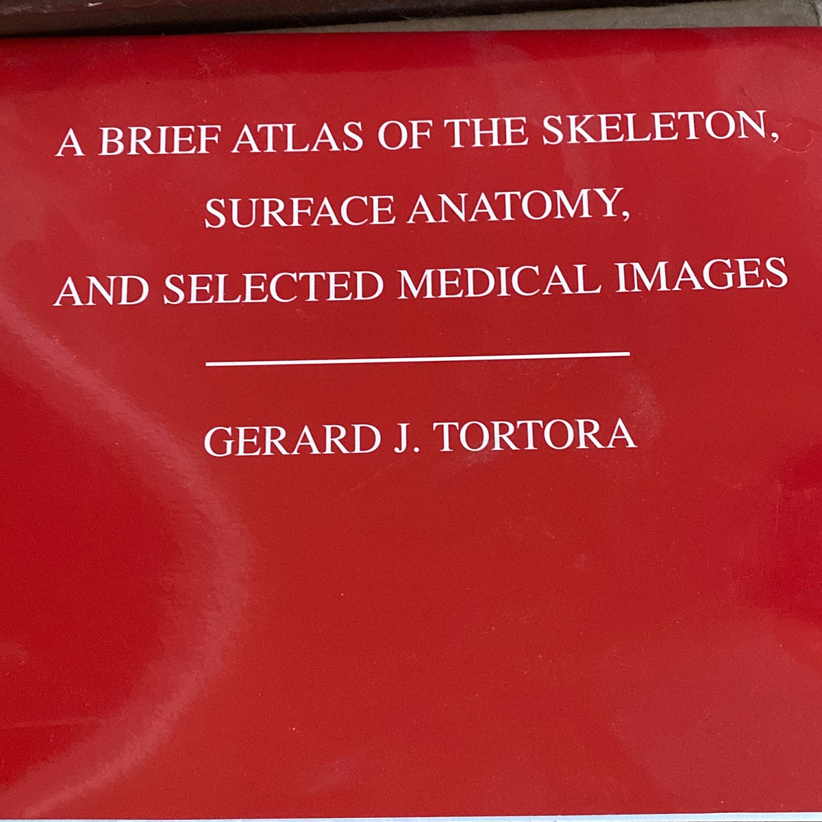 A Brief Atlas of the Skeleton Surface Anatomy, and Selected Medical ...