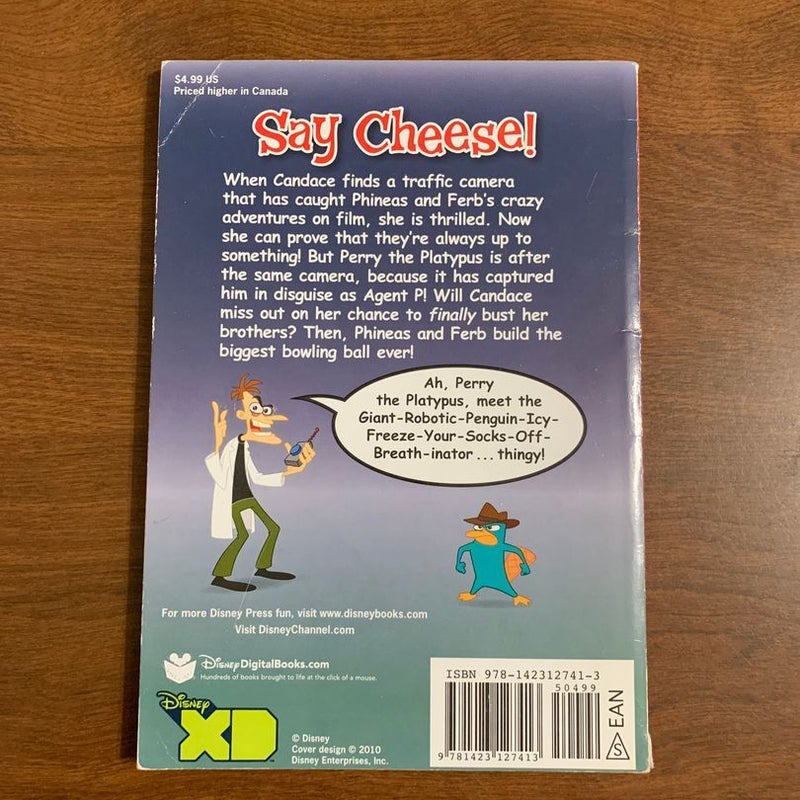 Phineas and Ferb Freeze Frame by Disney Books, Paperback | Pangobooks