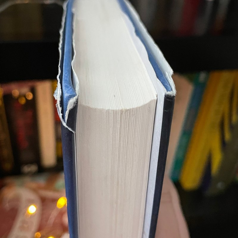 The Blue Girl by Charles De Lint