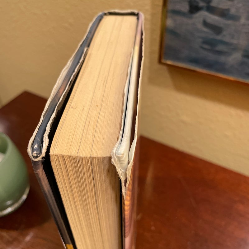 The Looking Glass Wars by Frank Beddor