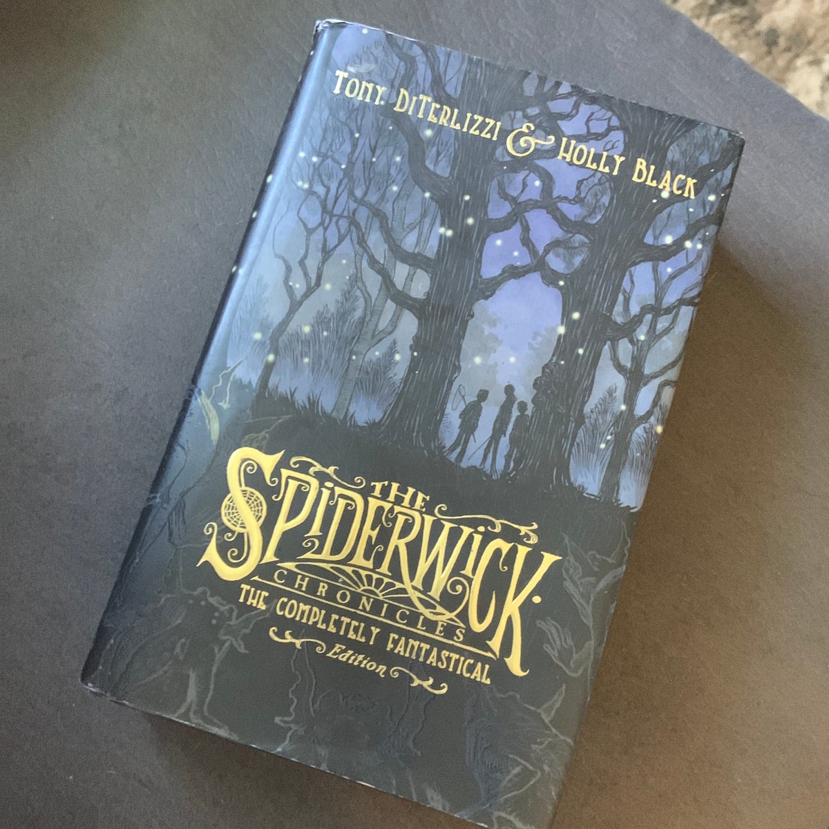 The Spiderwick Chronicles by Holly Black