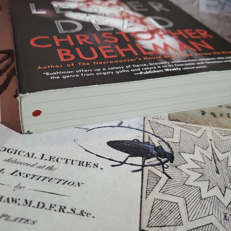 The Lesser Dead by Christopher Buehlman | Pangobooks