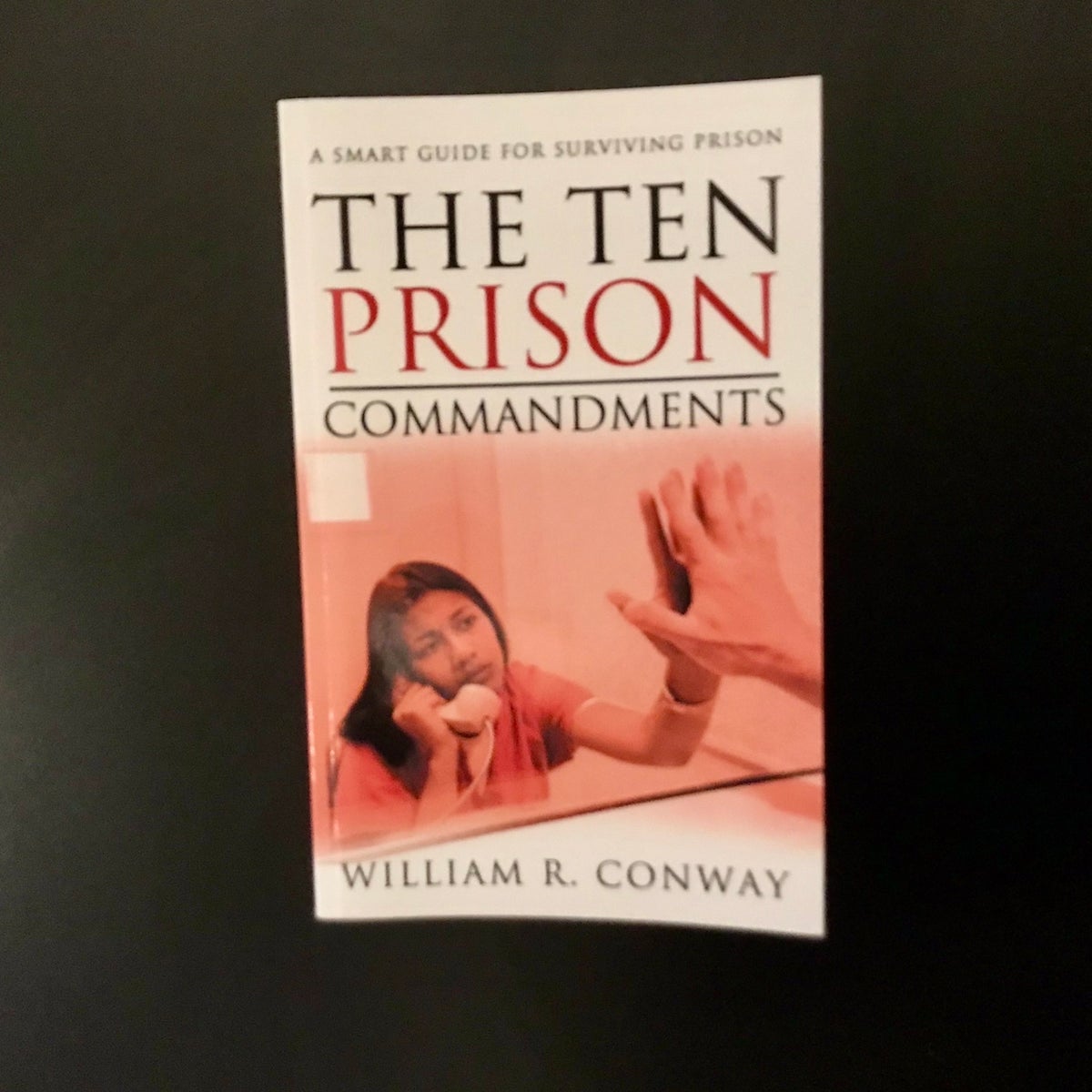 The Ten Prison Commandments by William R. Conway