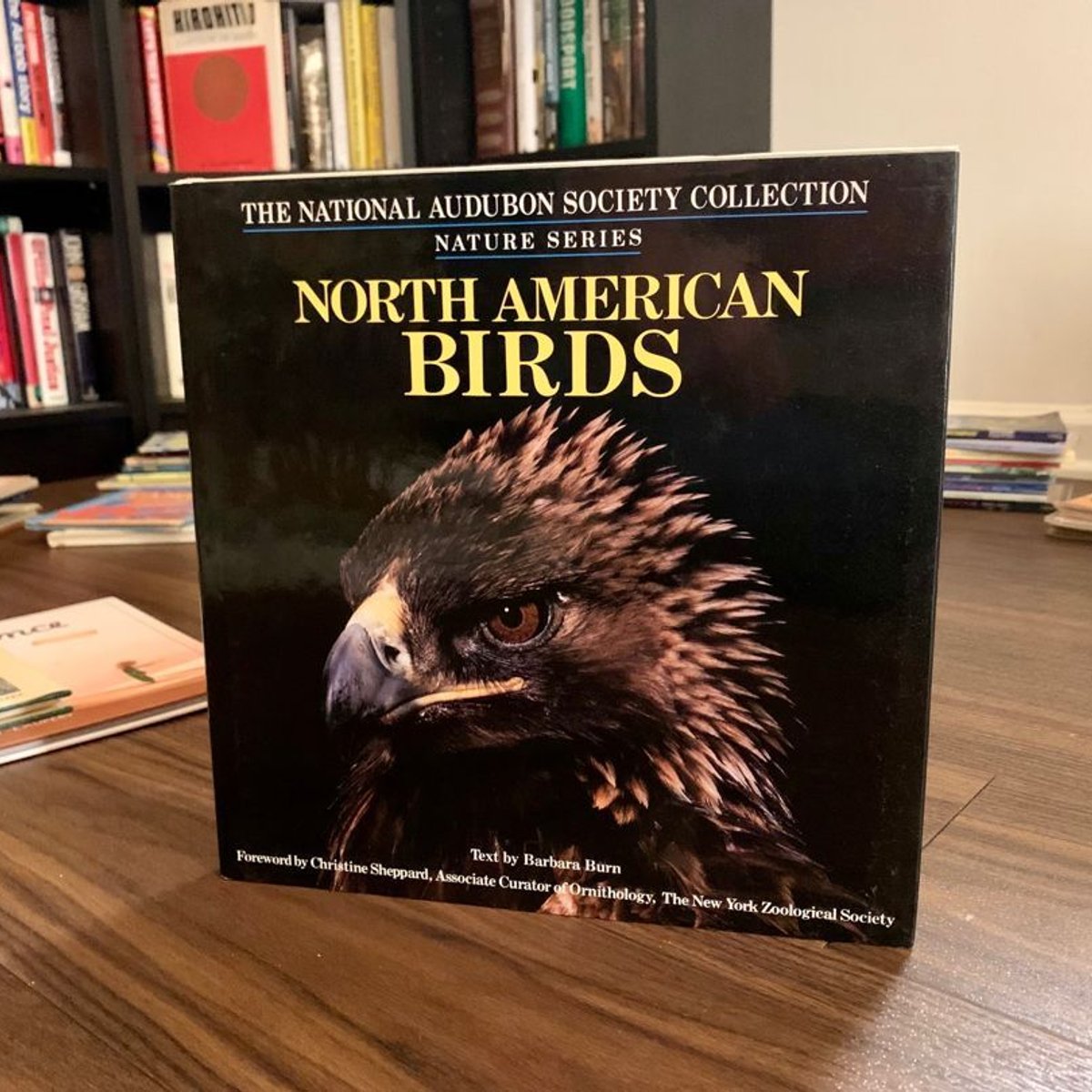 North American Birds by Barbara Burn
