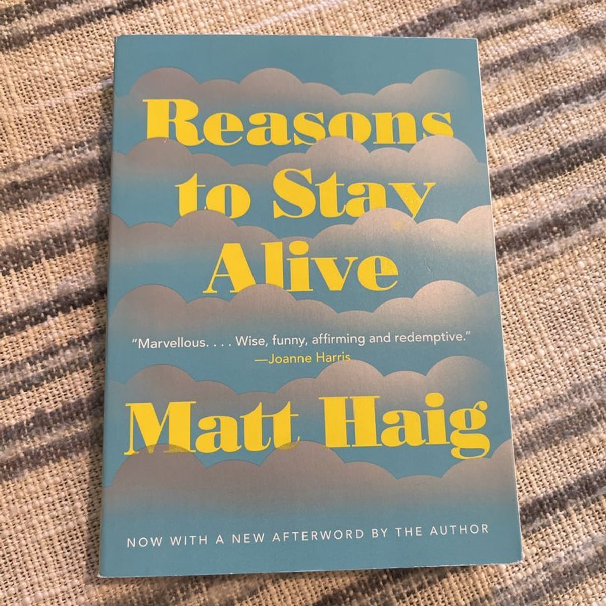 Reasons to Stay Alive by Matt Haig, Paperback | Pangobooks
