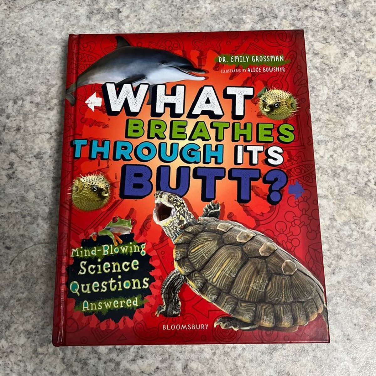 What Breathes Through Its Butt? by Emily Grossman