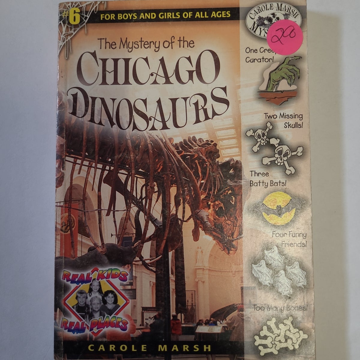 Mystery of the Missing Dinosaurs by Carole Marsh, Paperback | Pangobooks