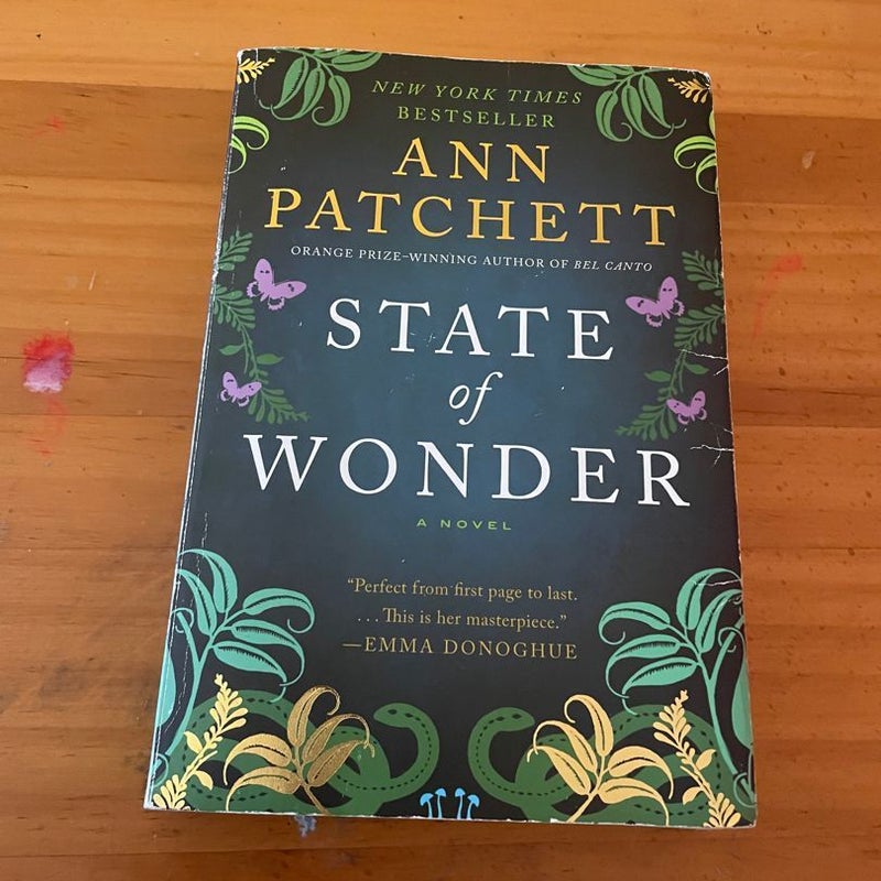 State of Wonder by Ann Pachett, Paperback | Pangobooks