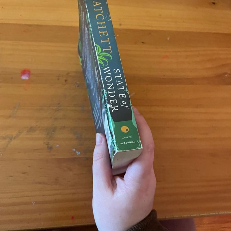 State of Wonder by Ann Pachett, Paperback | Pangobooks