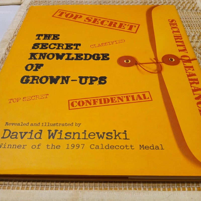 The Secret Knowledge of Grown-ups by David Wisniewski