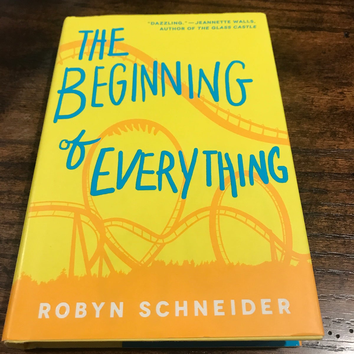The Beginning of Everything by Robyn Schneider