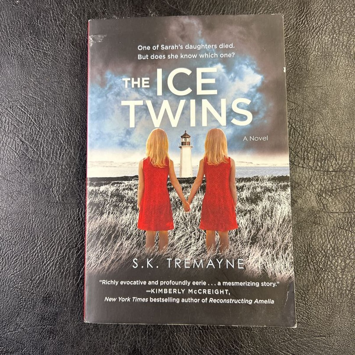 The Ice Twins by S. K. Tremayne