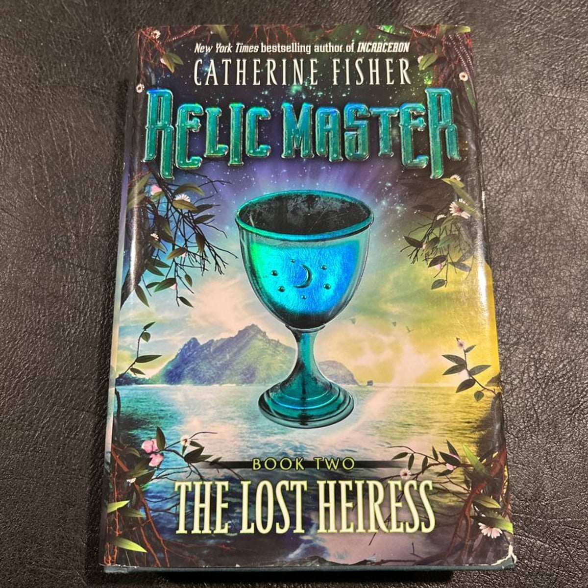 The Lost Heiress by Catherine Fisher