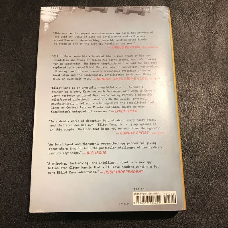 A Shadow Intelligence by Oliver Harris