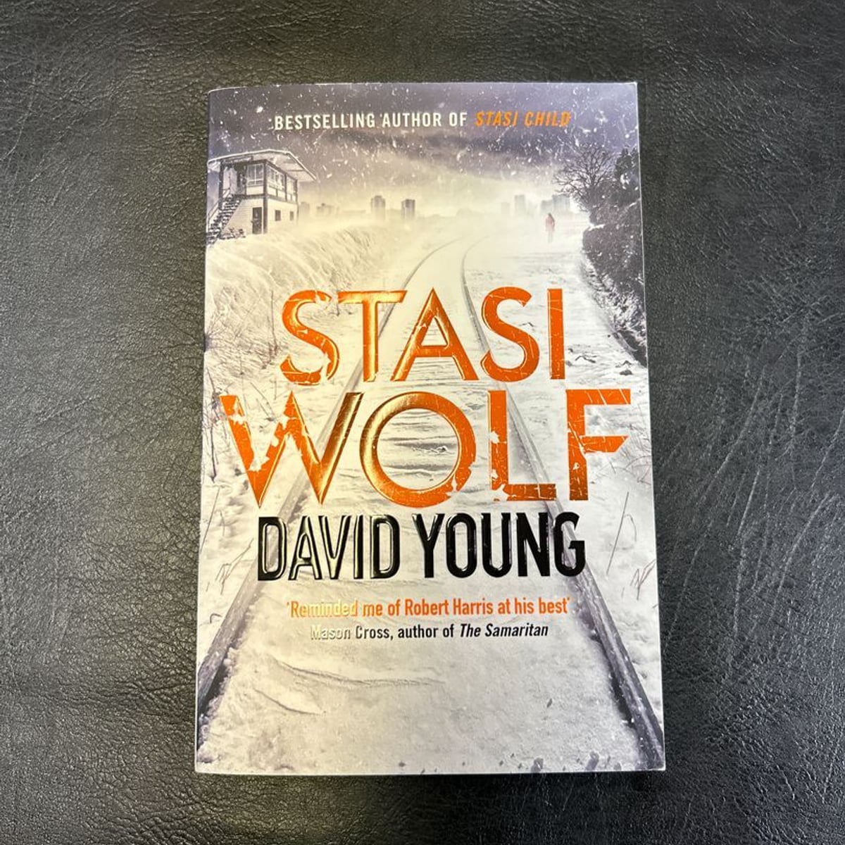 Stasi Wolf by David Young