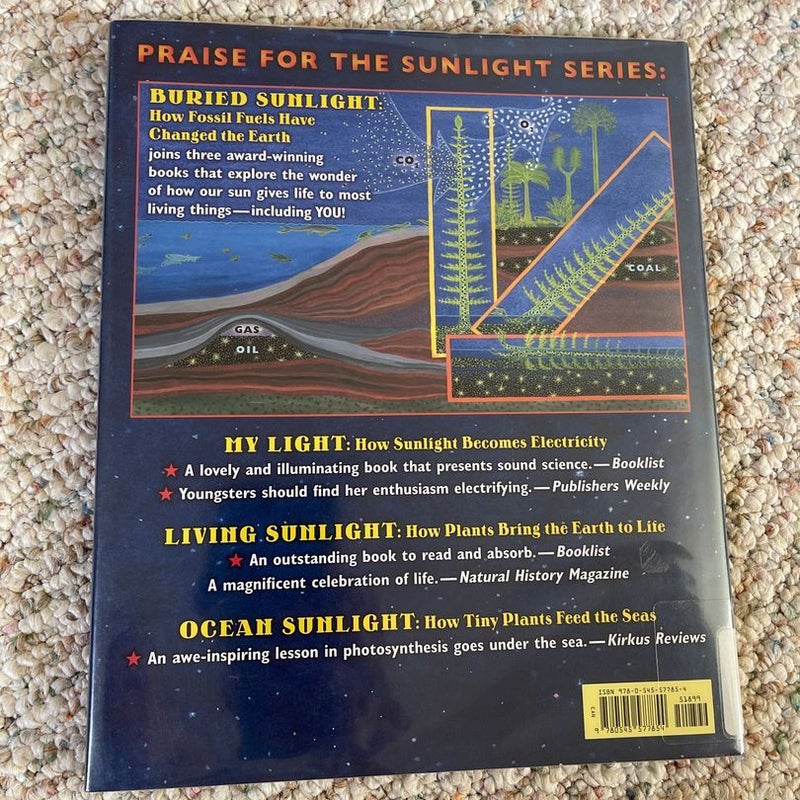 Buried Sunlight by Penny Chisholm, Hardcover | Pangobooks