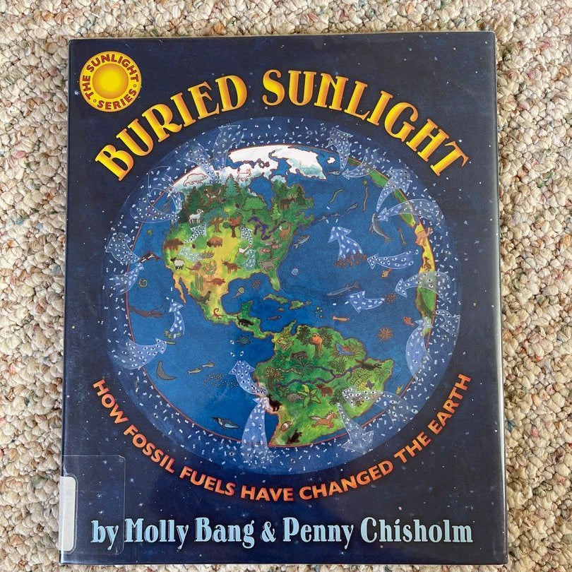 Buried Sunlight by Penny Chisholm, Hardcover | Pangobooks
