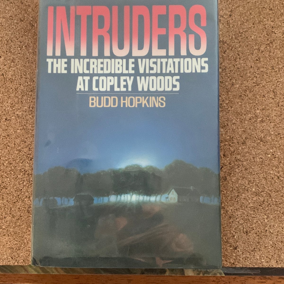 Intruders by Budd Hopkins