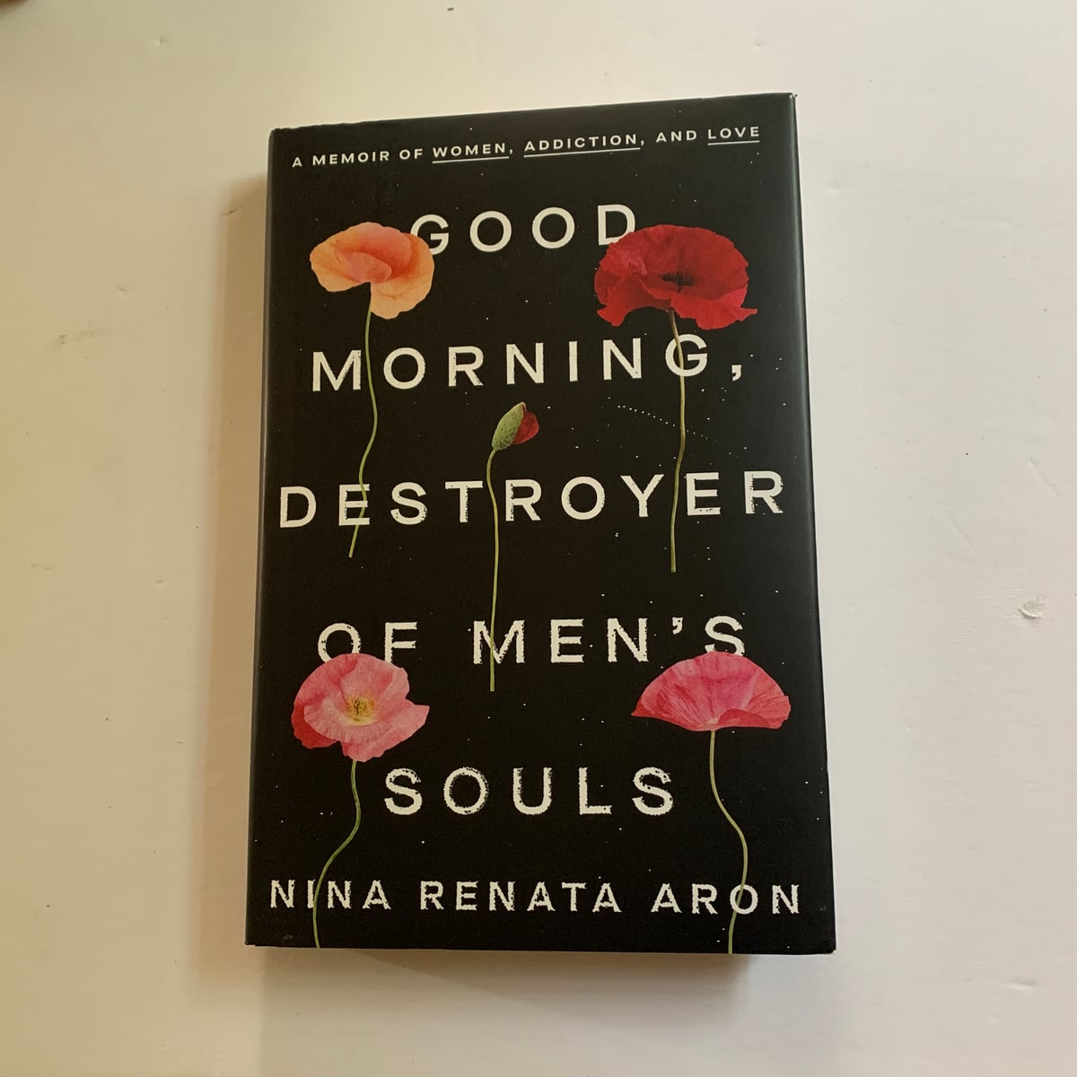 Good Morning, Destroyer of Men's Souls by Nina Renata Aron, Hardcover ...