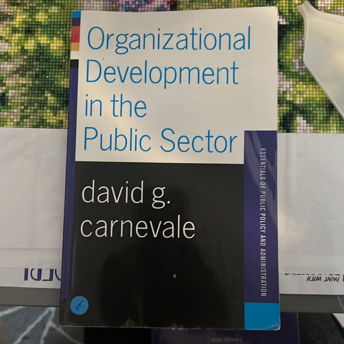 Organizational Development in the Public Sector by David Carnevale ...